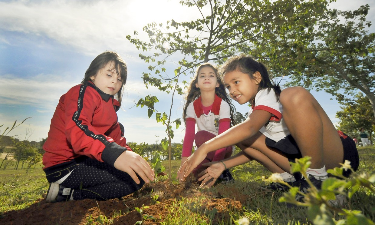 Sos Educação Ambiental é Preciso Fauna News