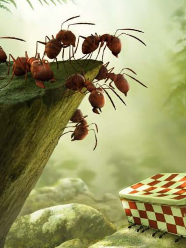 Uma resenha sobre formigas: a briga pela caixa de açúcar no filme ...